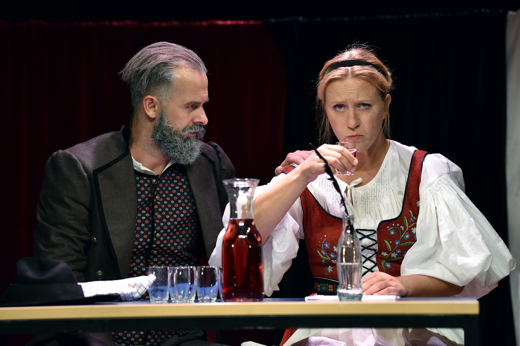 Anton Tomaž Linhart: Županova Micka - Koridor